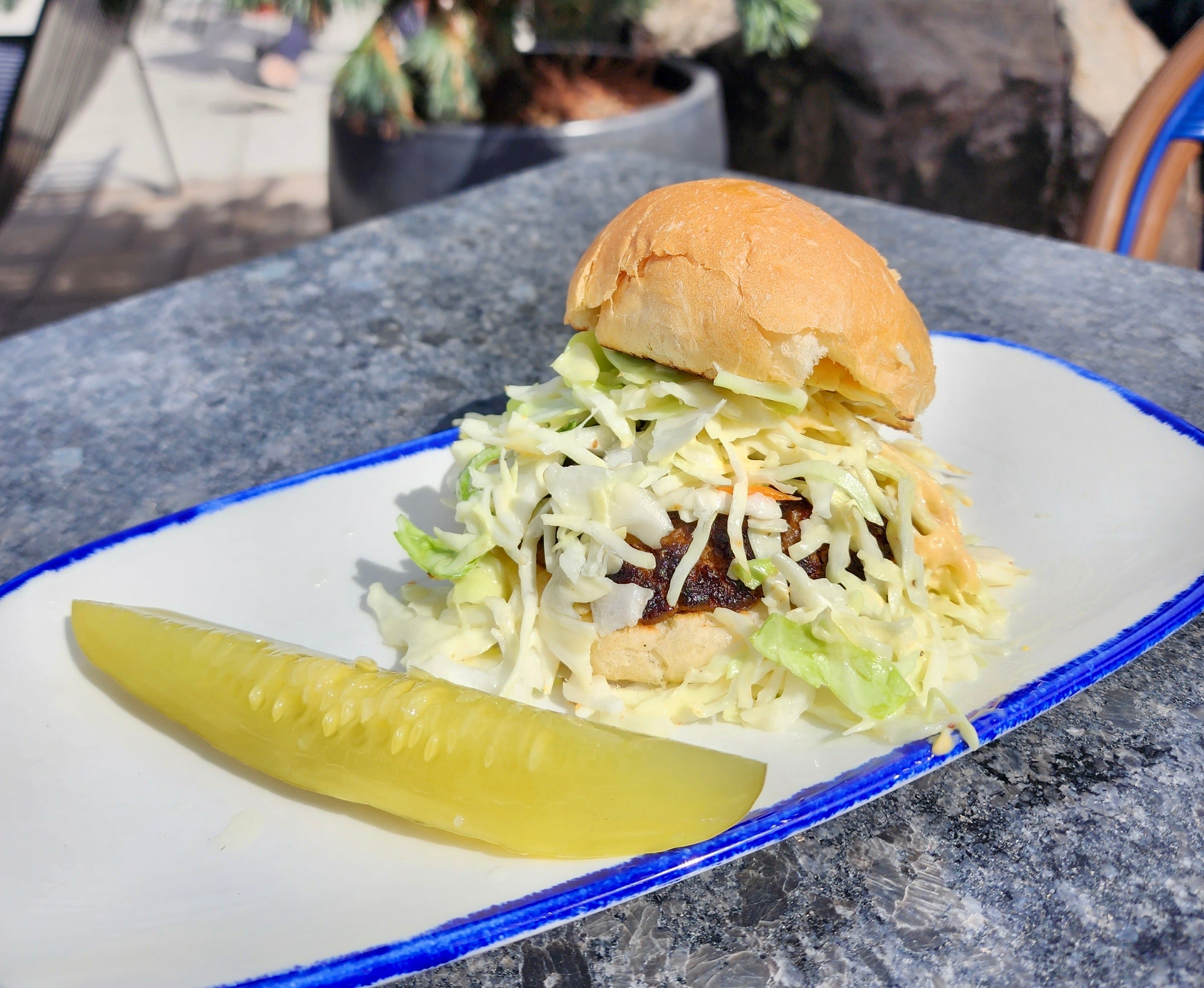 Over the Top – Mountain Burger Bend