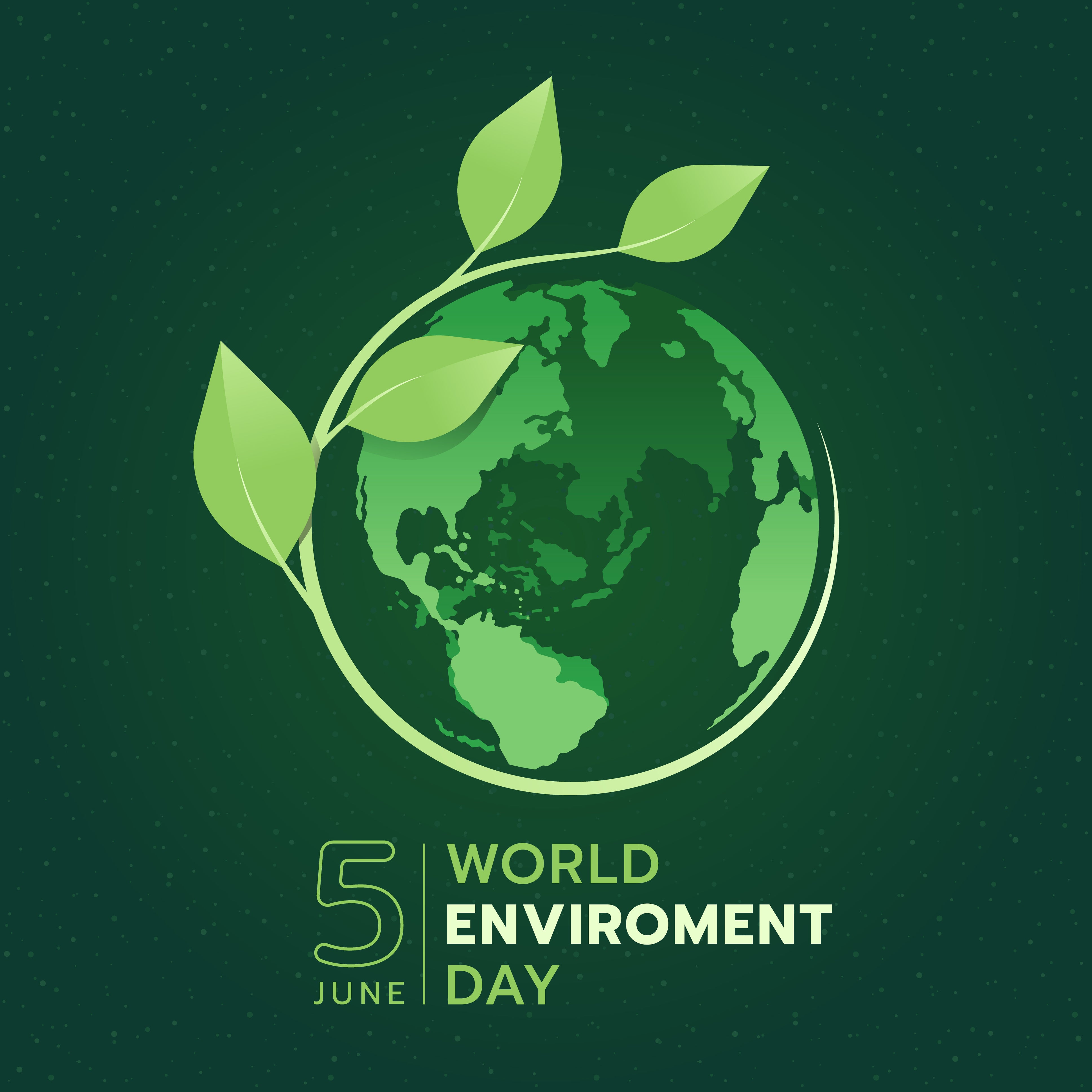 What is World Environment Day – Mountain Burger Bend